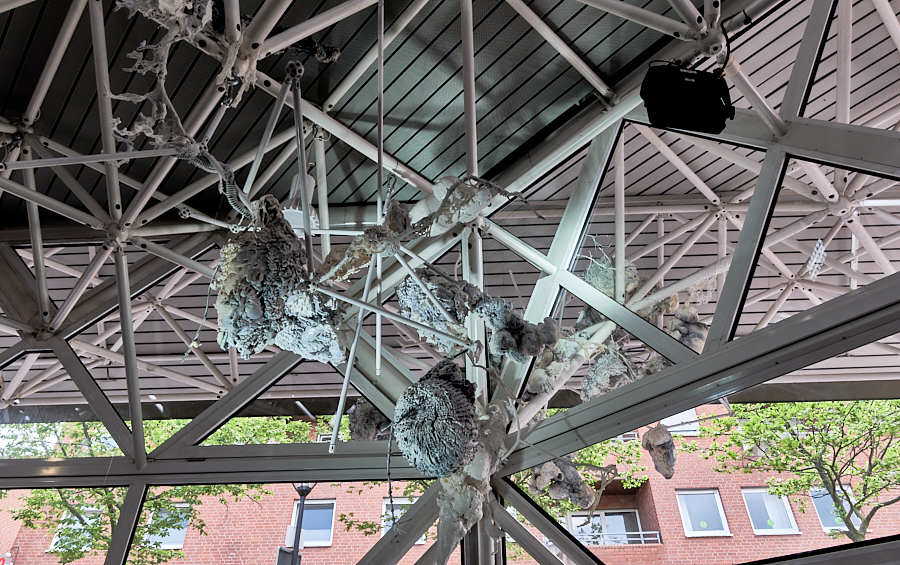 Stadt Münster: Kunst am Rand - Künstler/innen - Dörbecker